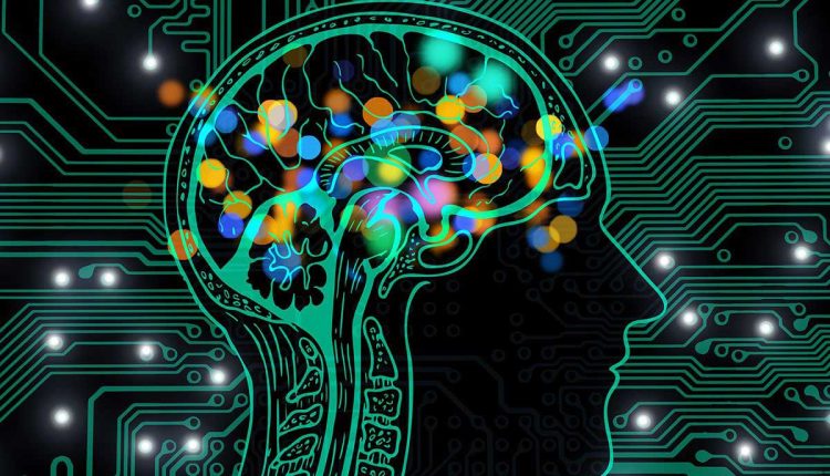 انواع هوش: 8 نوع هوش که بر میزان موفقیت شما تاثیر دارند - مجله کسب و ...